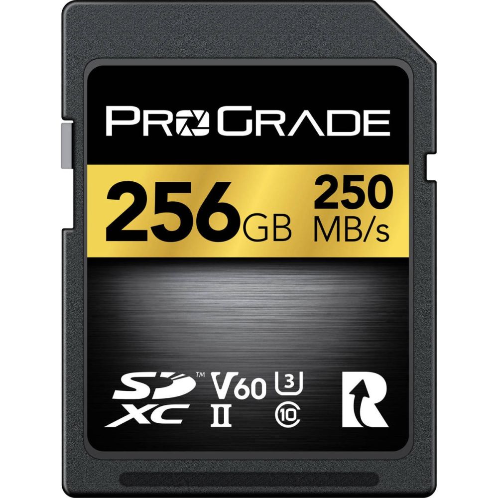 ProGrade 256GB 250MB/S UHS-II V60 SDXC Memory Card Gold PGSD256GBKNA ...